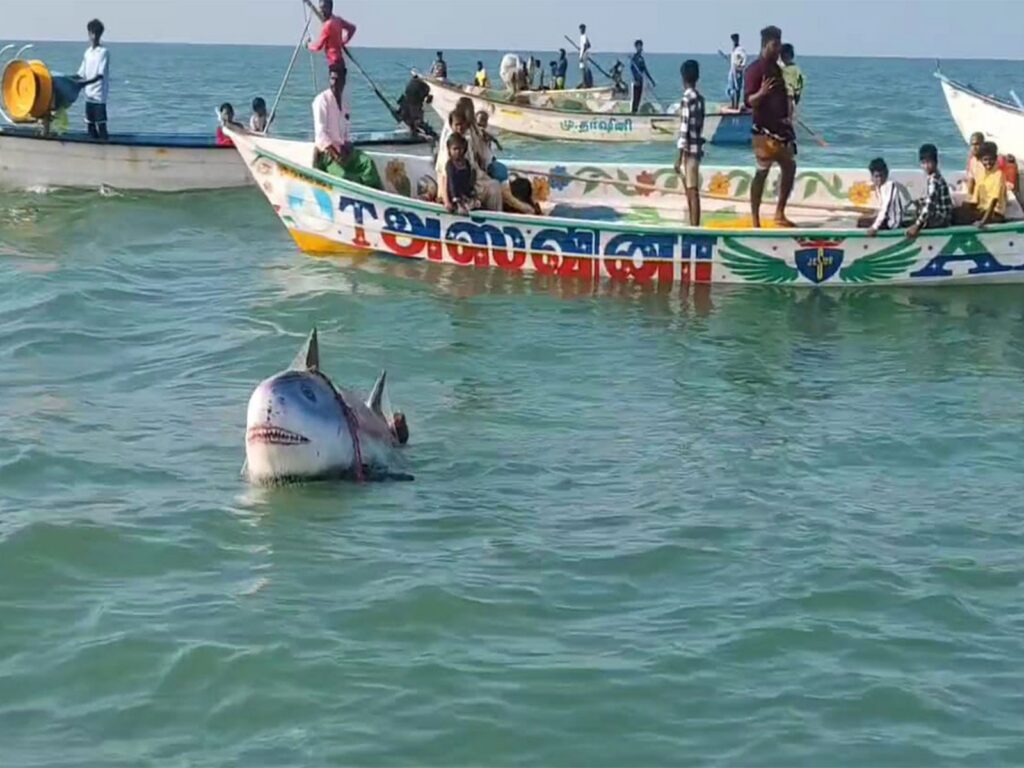 Ancient Shiva Fishing Ritual Attracts Thousands Of Devotees During ...